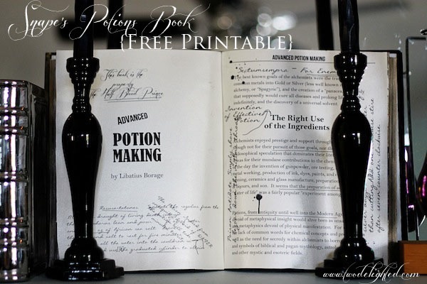 A Harry Potter Halloween Party How To – Two Delighted